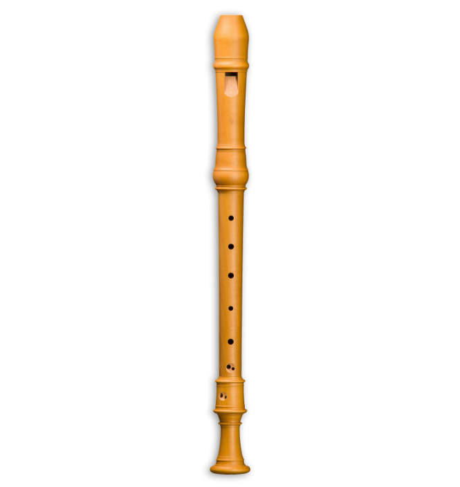Mollenhauer 5206 treble recorder Denner pear tree – Musik-Ebert Gmbh